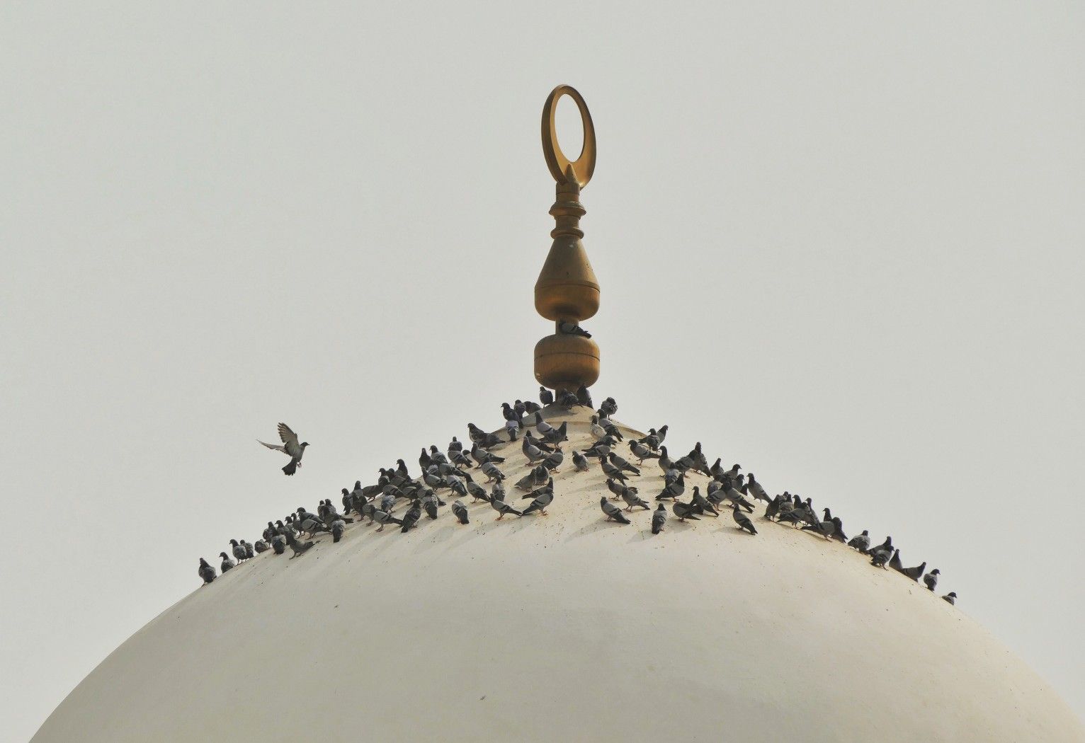 Teravija (teravih-namaz) u sunnetu Poslanika, a.s., i tradiciji ashaba ...